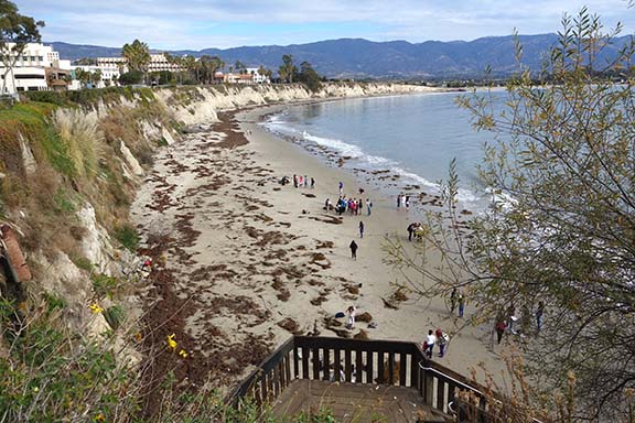 UCSB Beach 14C03 08:45 am